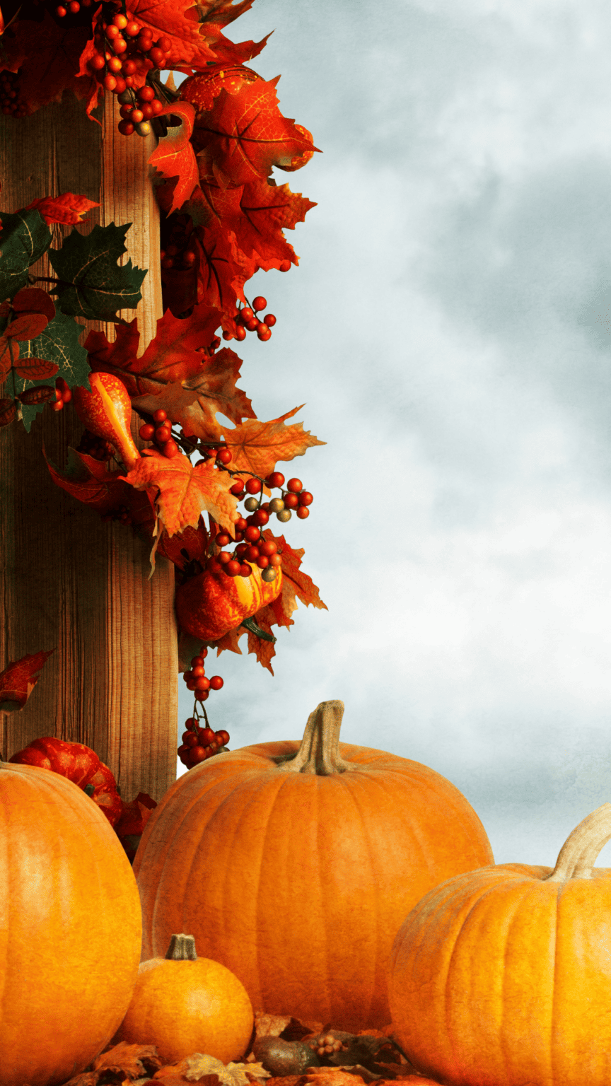 Autumn Aesthetics: Free Fall Wallpaper for Your Phone