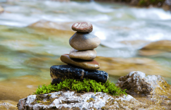 5 Essentials: Feng Shui Front Yard Tips for Your Home - Mox And Company