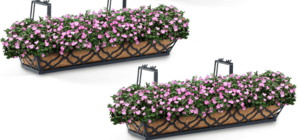 15 Top Window Box Ideas for Stunning Curb Appeal